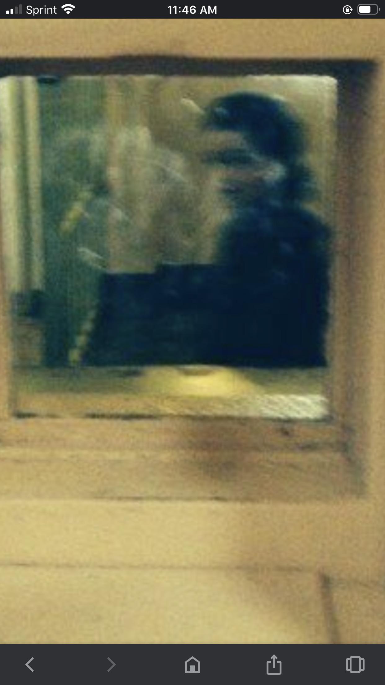 Analyzing the Alcatraz Ghost Photo | Ghostly Activities
