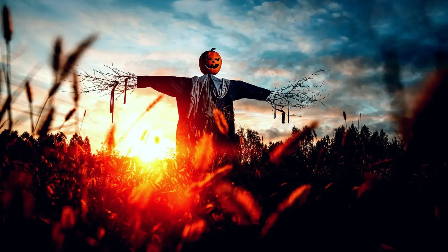 Sam Hain | The Spirit of Halloween | Ghostly Activities