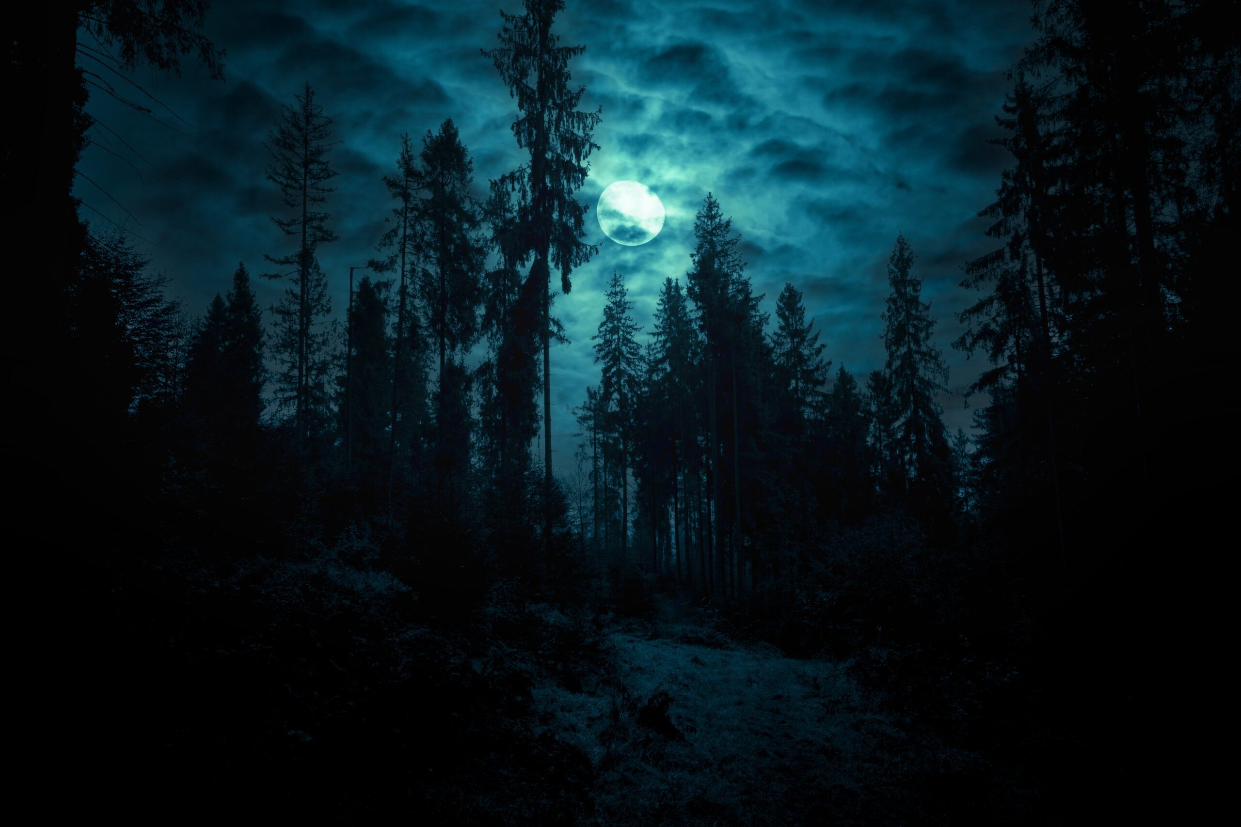 Debunking Common Ghost Hunting Myths | Ghostly Activities