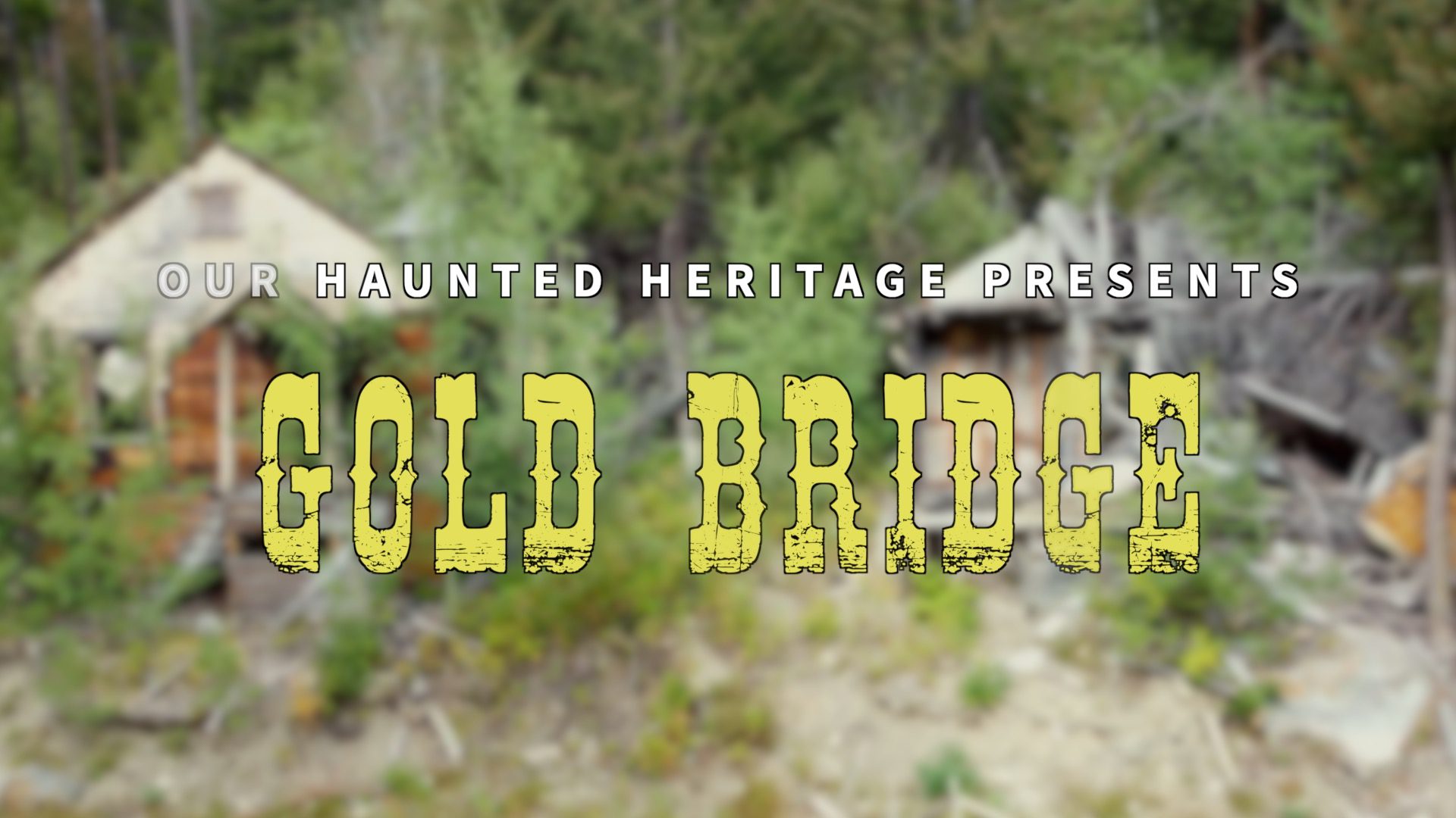 The Dead Bell Ghost Hunting Equipment Review | Ghostly Activities